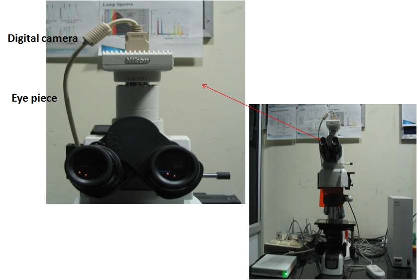 Digital Camera & Eye piece